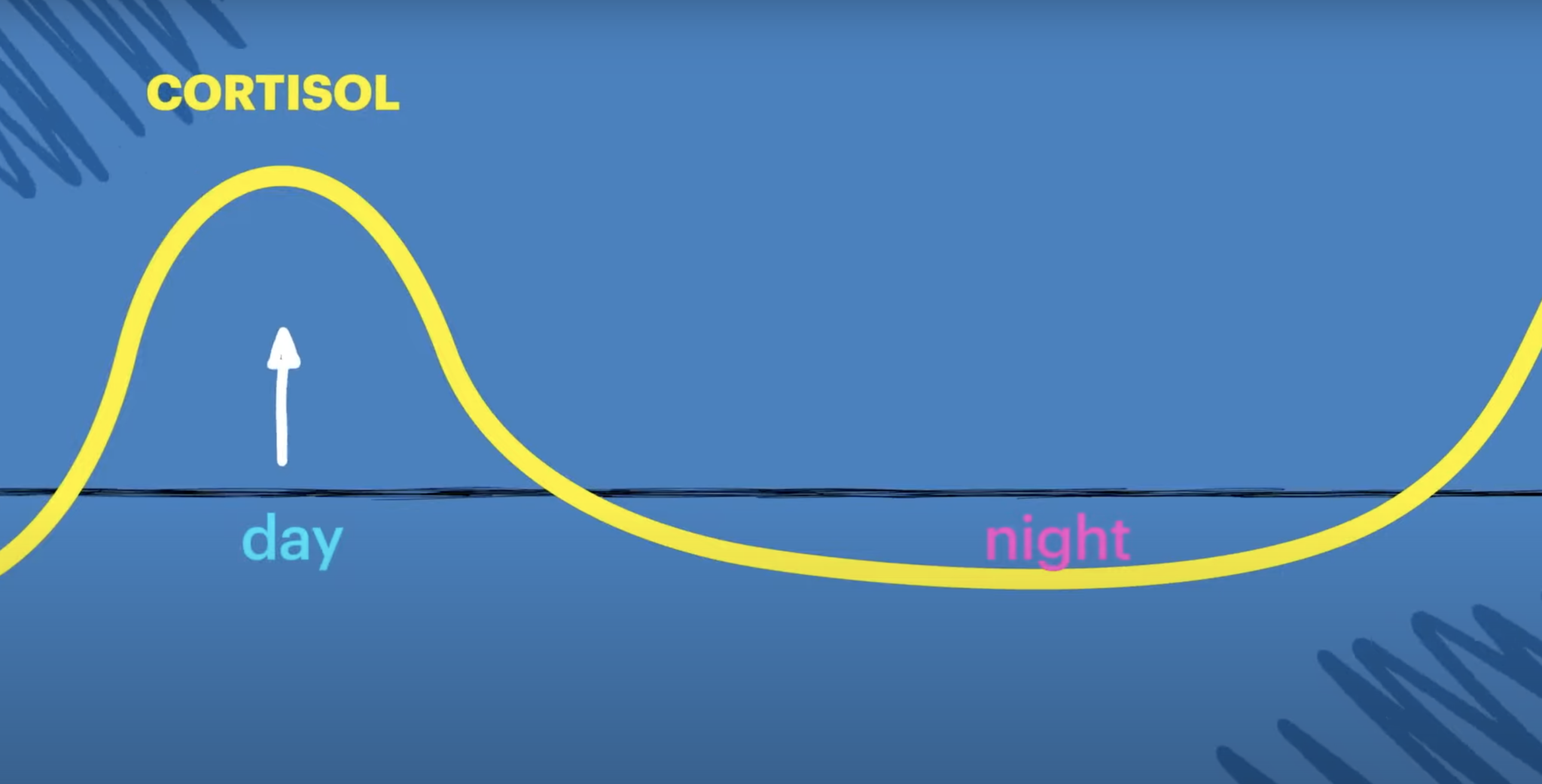 My Evidence-Based Morning Routine – Gareth Evans